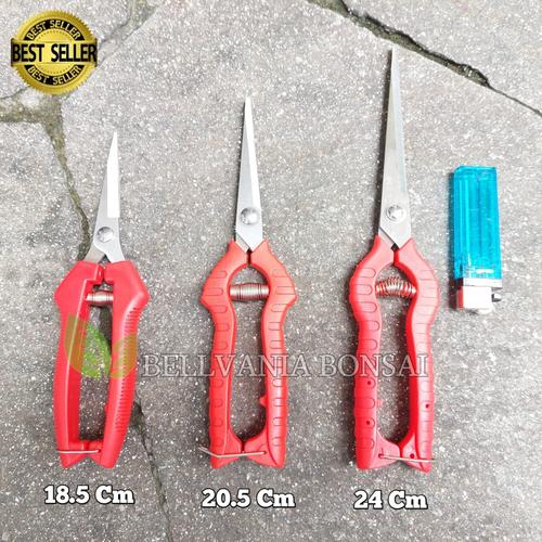 Jual Gunting Dahan Ranting Buah Dan Bunga Gagang Merah - Jakarta Barat ...