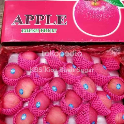 Jual BUAH APEL FUJI RRC 1 DUS - Jakarta Barat - KBS Kios Buah Segar ...