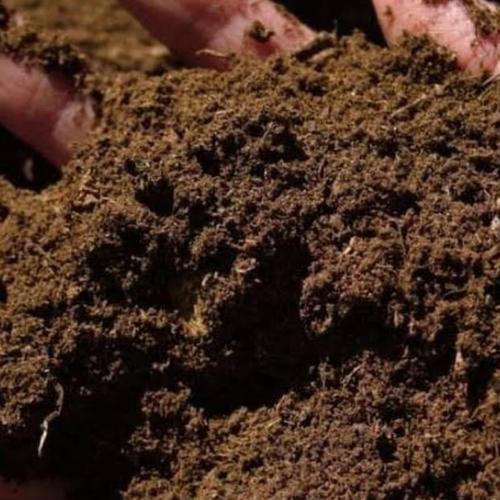 Jual pupuk kompos sapi trubus - Kota Palembang - GardenAndFarm | Tokopedia