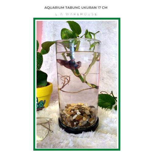 Jual Paket Aquarium Mini Tabung Jumbo 17 Cm Ikan Cupang/ Guppy ...