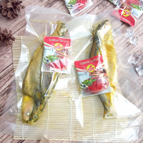 Jual Bandeng Presto Duri/Tulang Lunak Satuan Bonus Sambal Terasi - Kota ...