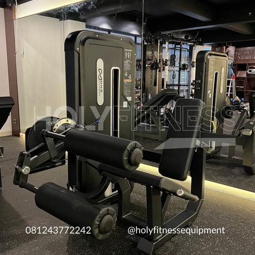 Jual Leg Extension & Leg Curl Machine E3086B DHZ Fitness - Jakarta ...
