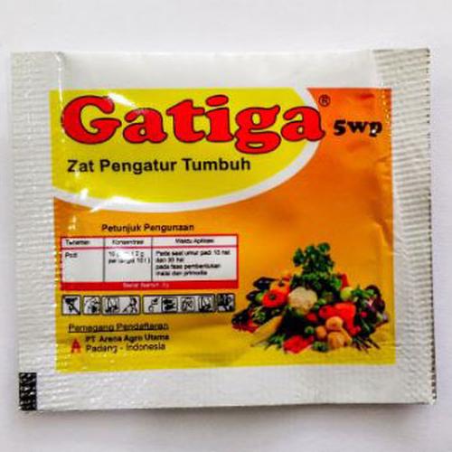 Jual GA3 Gatiga 5wp 2 gram Zat Pengatur Tumbuh Gibberellin untuk Buah ...