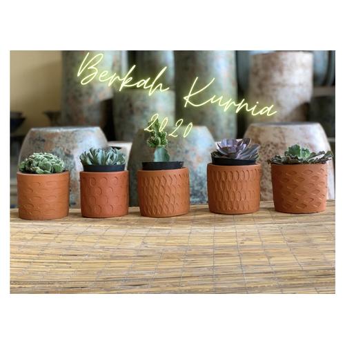 Jual Pot Teracotta Kaktus Sukulen Pot Tanah Liat Sukulen Pot Gerabah ...