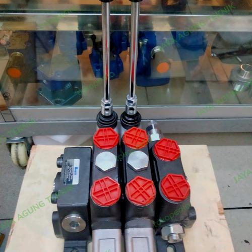 Jual CONTROL VALVE SUCTION DCV 100 /100 LPM 3/4 TUAS SPRING 2 HENDLE ...