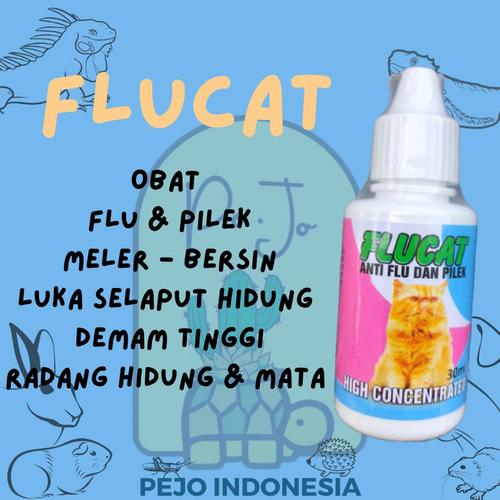 Jual Obat Flucat Pilek Demam dan Batuk Kucing Flu Cat - Kota Cimahi ...