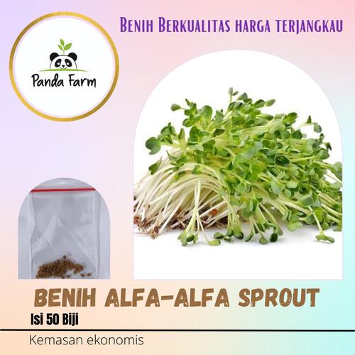 Jual Benih Alfa-Alfa Sprout Kemasan Ekonomis - Kota Tangerang Selatan ...