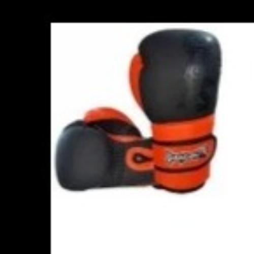 Jual Dragon Boxing Gloves [14oz] - Kota Medan - J Fitness And Sports ...