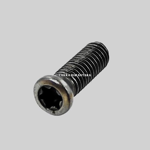 Jual Baut Insert M3 x 10L screw bintang M3x0.5 holder bubut milling ...