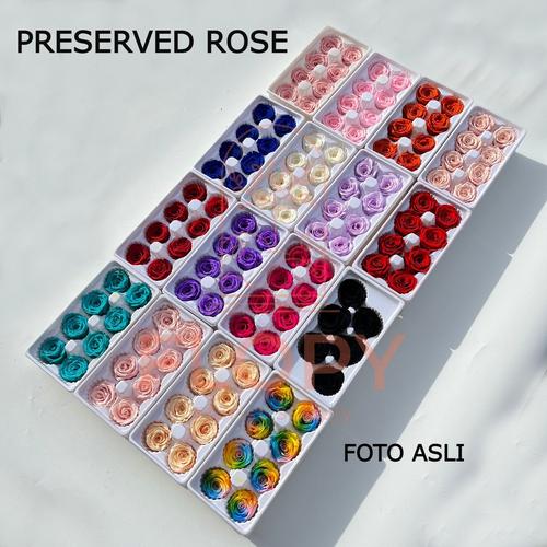 Jual [1 Box] FLOPY Preserved Rose / Mawar Eternal Import / Mawar Abadi ...