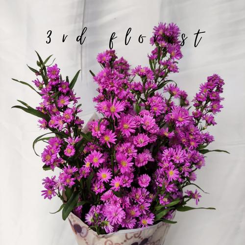 Jual Bunga Pikok Ungu (Bunga Segar Jakarta) - Jakarta Barat - 3rd ...