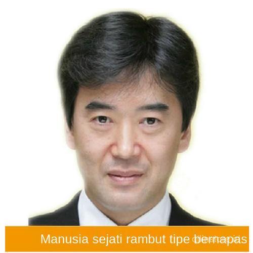 Jual Wig Pria | Rambut Wig | Wig Pria Dewasa KK - dark brown - Jakarta ...