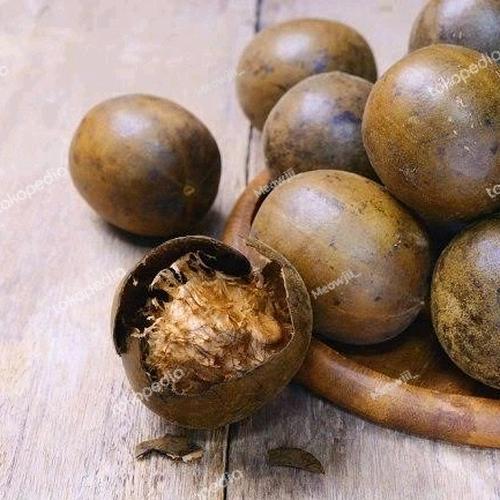 Jual Lo Han Kuo Buah/ Luo Han Ko / Buah Lohan/ Lo Han Kuo / Lo Han Guo ...