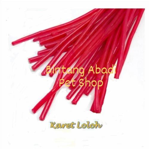 Jual Karet Pentil Selang Loloh Burung Sepet Loloh Kenari Conure ...
