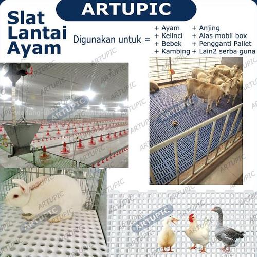 Jual SLAT LANTAI AYAM ALAS LANTAI PIJAKAN KANDANG AYAM KELINCI UNGGAS - Jakarta Barat - SATWA ...