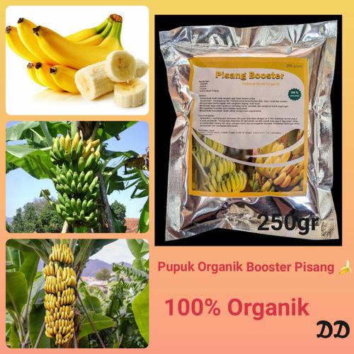 Jual Pupuk Organik Penyubur Pisang,Pupuk Organik Pelebat Pisang Agar Cepat - Kab. Bantul - Toko ...
