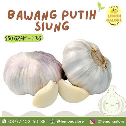 Jual Bawang Putih Utuh Siung /Bawang Putih Bersih Segar / Per 500 gr ...