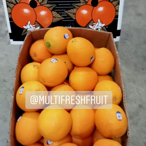 Jual jeruk sunkist navel usa manis 1 kg - Jakarta Barat - Krista Bella ...