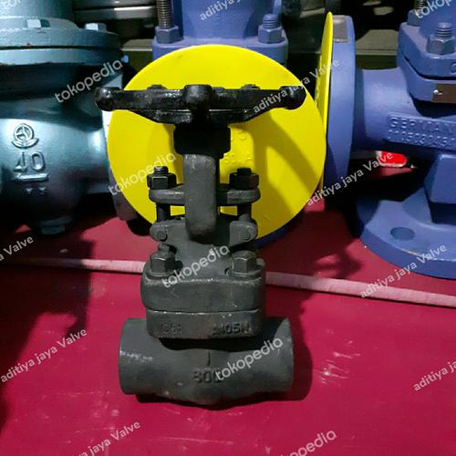 Jual gate valve SHORITSU A105N 1" class 800 cast iron steam new - Kab ...