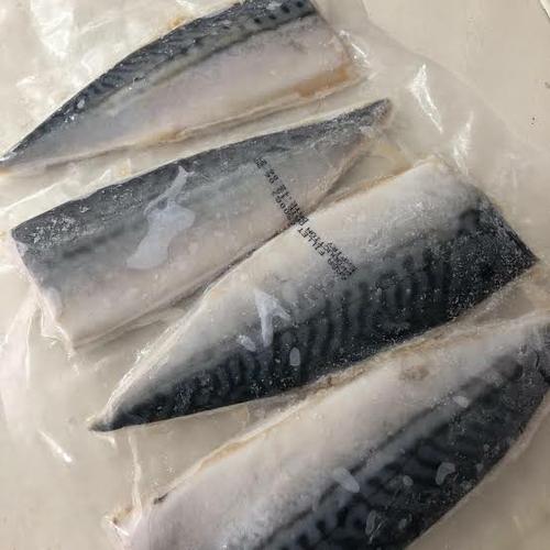 Jual Ikan Saba Makarel Mackerel Fillet - Jakarta Barat - Ocean Food ... Jual Ikan Saba Makarel Mackerel Fillet - Jakarta Barat - Ocean Food ...