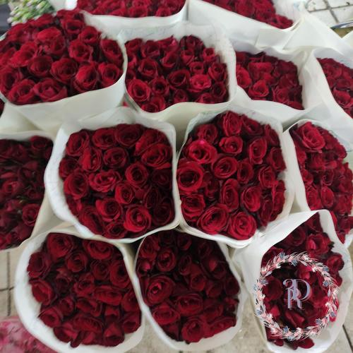 Jual Bunga Mawar Malang Merah (Bunga Segar Jakarta) - Jakarta Barat ...