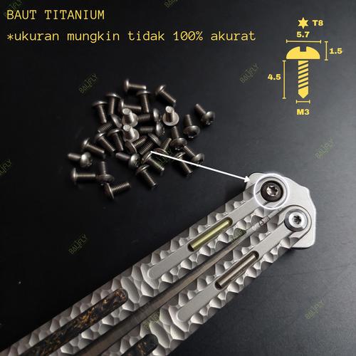 Jual Baut Torx T8 M3x4.5mm Small Truss Head Titanium - Kab. Banyumas ...