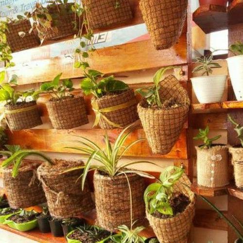 Promo Pot Bunga Anggrek Sabut Kelapa Tempel Dinding Serabut Kelapa ...
