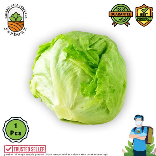 Jual Sayur Segar Lettuce / Letus Satuan - Jakarta Pusat - yezbozz ...