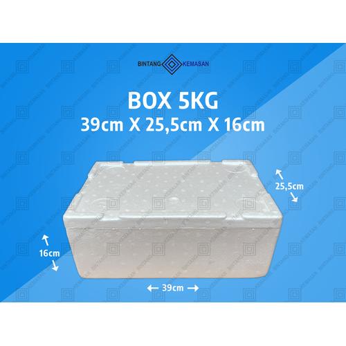 Jual Box Styrofoam Kecil Box Sterofoam Box Packing BARU - 5KG - Jakarta ...