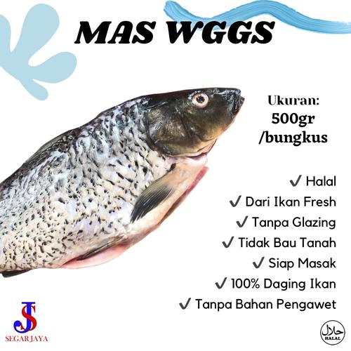 Jual Ikan Mas WGGS Siangin Fresh Segar SIAP MASAK - 200-300gr/ekor - Kota Tangerang - Rumah Ikan ...