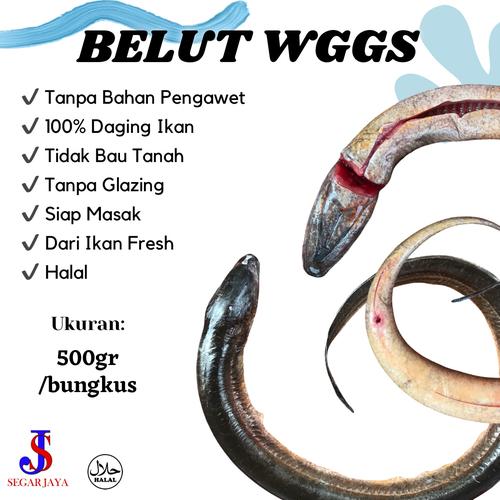 Jual Ikan Belut WGGS Siangin Fresh Segar SIAP MASAK - 1kg isi 2ekor ...