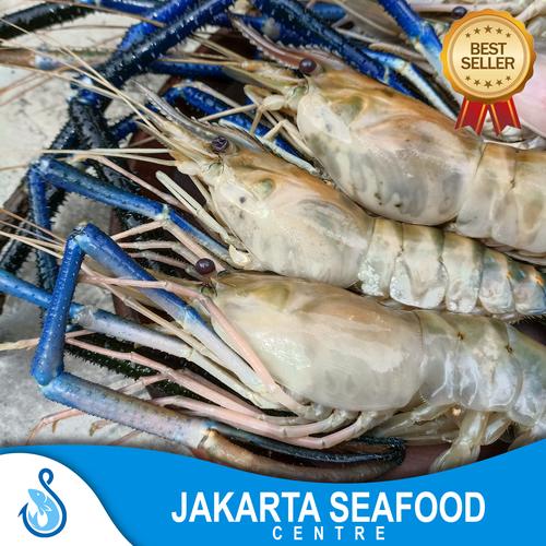 Jual Udang Galah Segar Jumbo Gede Segar/Fresh 1 kg isi 4-7 ekor - 500 ...
