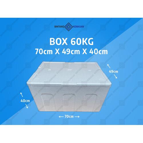 Jual Box Styrofoam Besar Box Sterofoam Besar Box Packing BARU - 60KG ...