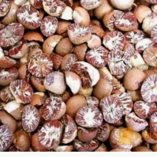 Jual biji pinang tua kering per 100 gram - Jakarta Selatan - toko intan ...