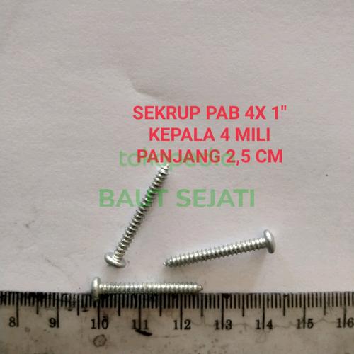 Jual SEKRUP PH 4X1" 2,5 CM ISI 10 PCS / BAUT TAPPING JP KEPALA BULAT ...