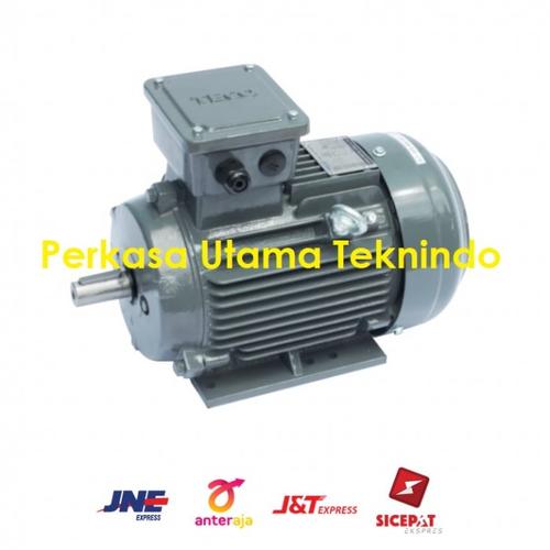 Jual DINAMO ELEKTRO MOTOR TECO 4 HP 4 POLE / AESV1S - Jakarta Barat - Perkasa Utama Teknindo ...