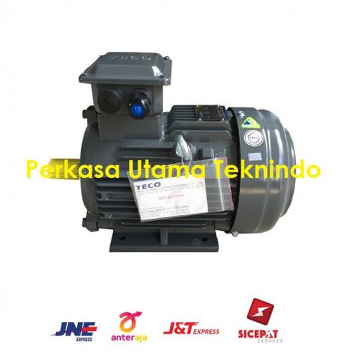 Jual DINAMO ELEKTRO MOTOR TECO 4 HP 2 POLE / AESV1S - Jakarta Barat - Perkasa Utama Teknindo ...