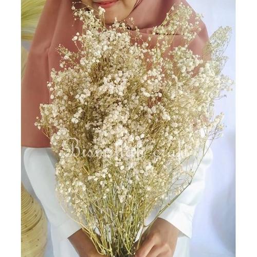 Jual daun Bunga Kering Baby Breath Dandelion Mini Dekorasi Palem Rustic ...