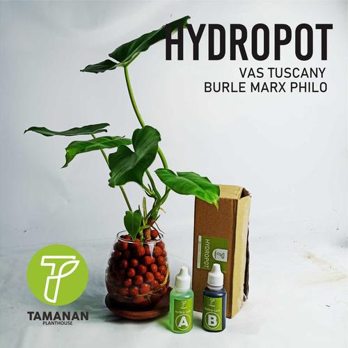 Jual HYDROPOT Set tanaman dengan media hydroton dalam vas kaca ...