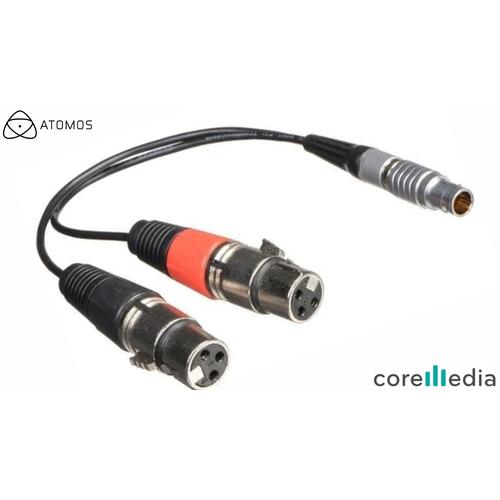 Jual Atomos XLR Breakout Cable For Shogun (Input Only) - Kota Surabaya ...