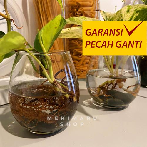 Jual Vas Bunga Kaca Minimalis Pot Tanaman Air Botol Hidroponik Unik ...