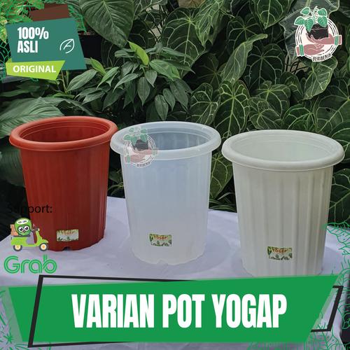 Jual Pot Yogap Coklat Putih Dan Bening Pot Bunga Tanaman Hias Premium ...
