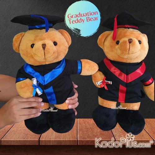 Jual Boneka Wisuda Teddy Bear Toga Boneka Graduation - 26 cm berdiri ...