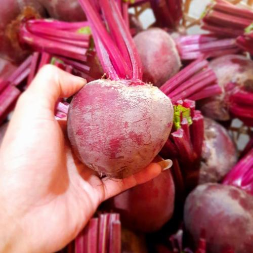 Jual buah bit fresh 1kg / buah beet / beet root FRESH 1kg - packing ...
