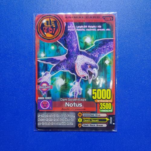 Jual Kartu Animal Kaiser Notus Ver. 6 - Kota Bandung - Kaiju_Store ...