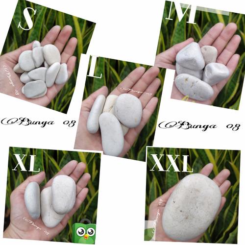 Jual Batu koral putih 1KG S-XXL / Batu hiasan taman/tanaman / batu ...