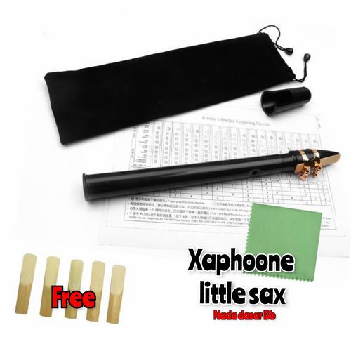 Jual xaphoone saxophone mini little sax nada dasar Bb - Kab. Bantul ...