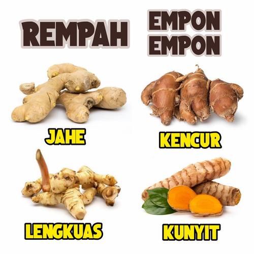 Jual JAHE KENCUR KUNYIT LENGKUAS LAOS PER PACK - Rempah Empon-Empon ...