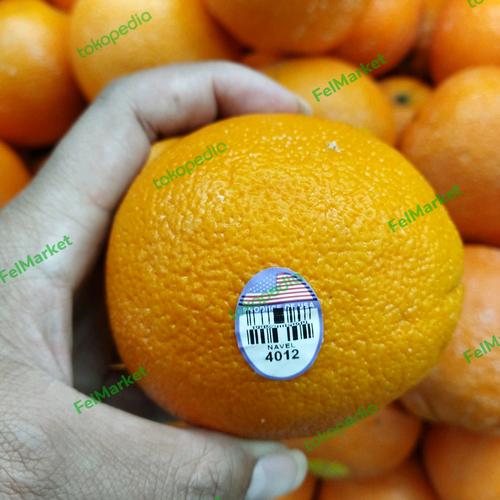 Jual jeruk navel USA jumbo | 1 kg - Jakarta Barat - FelMarket | Tokopedia
