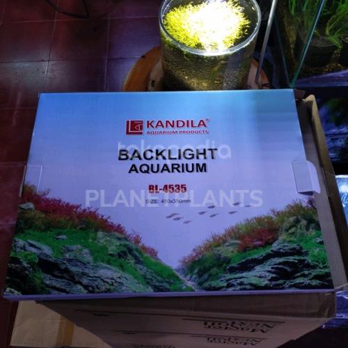 Jual KANDILA BACKLIGHT BACKGROUND AQUARIUM 40X35CM AQUASCAPE - Jakarta ...